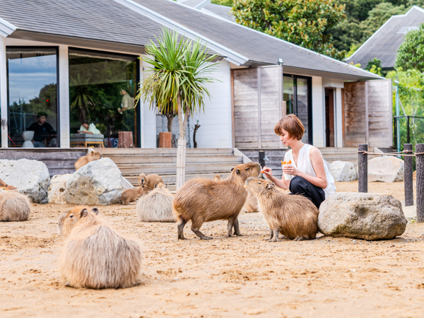 Izu Resort Villa – Kamori Kanko Co., Ltd. – Kamori Kanko Group, Golsta ...